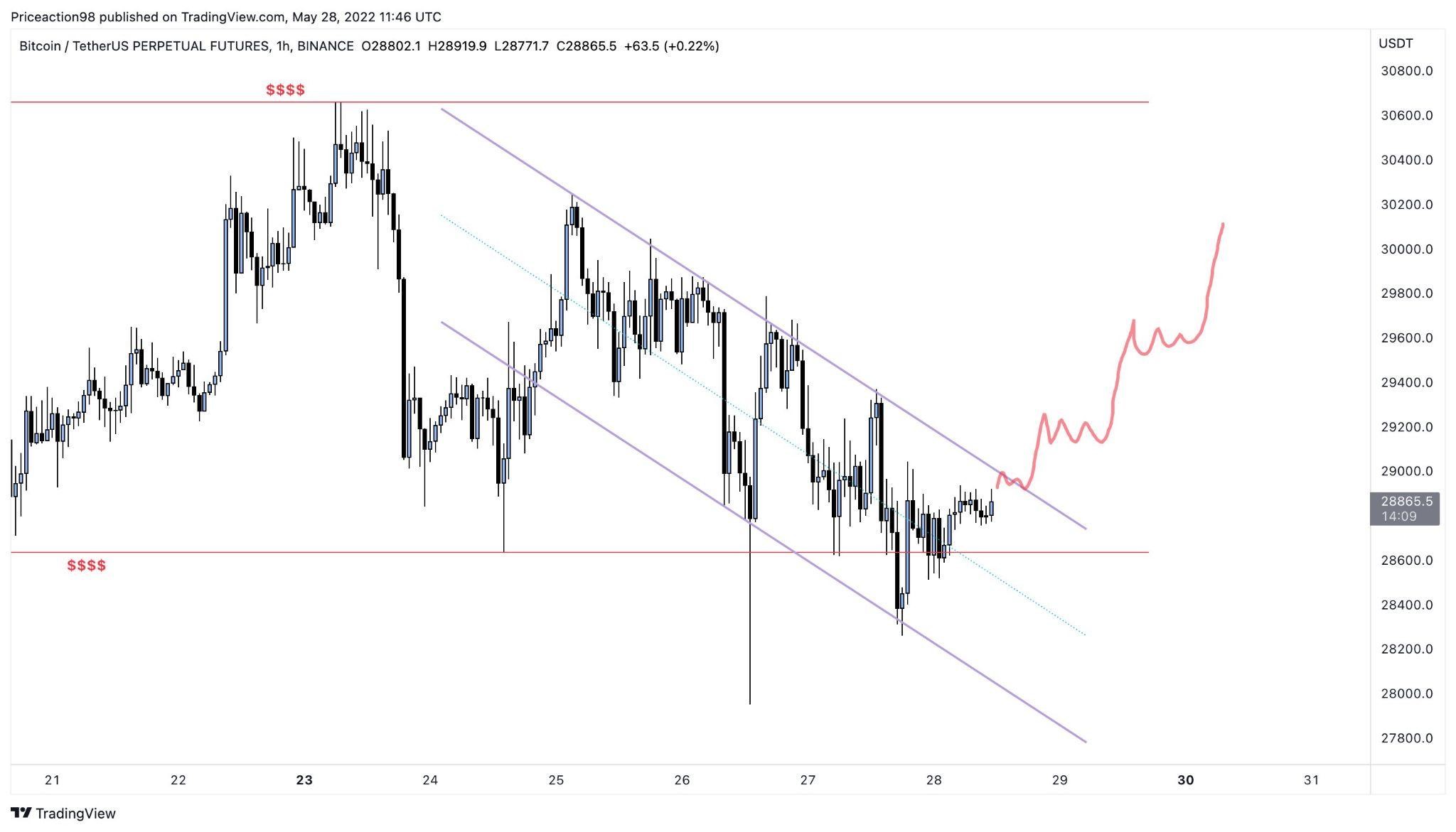 Cryptocurrency Market Analysis