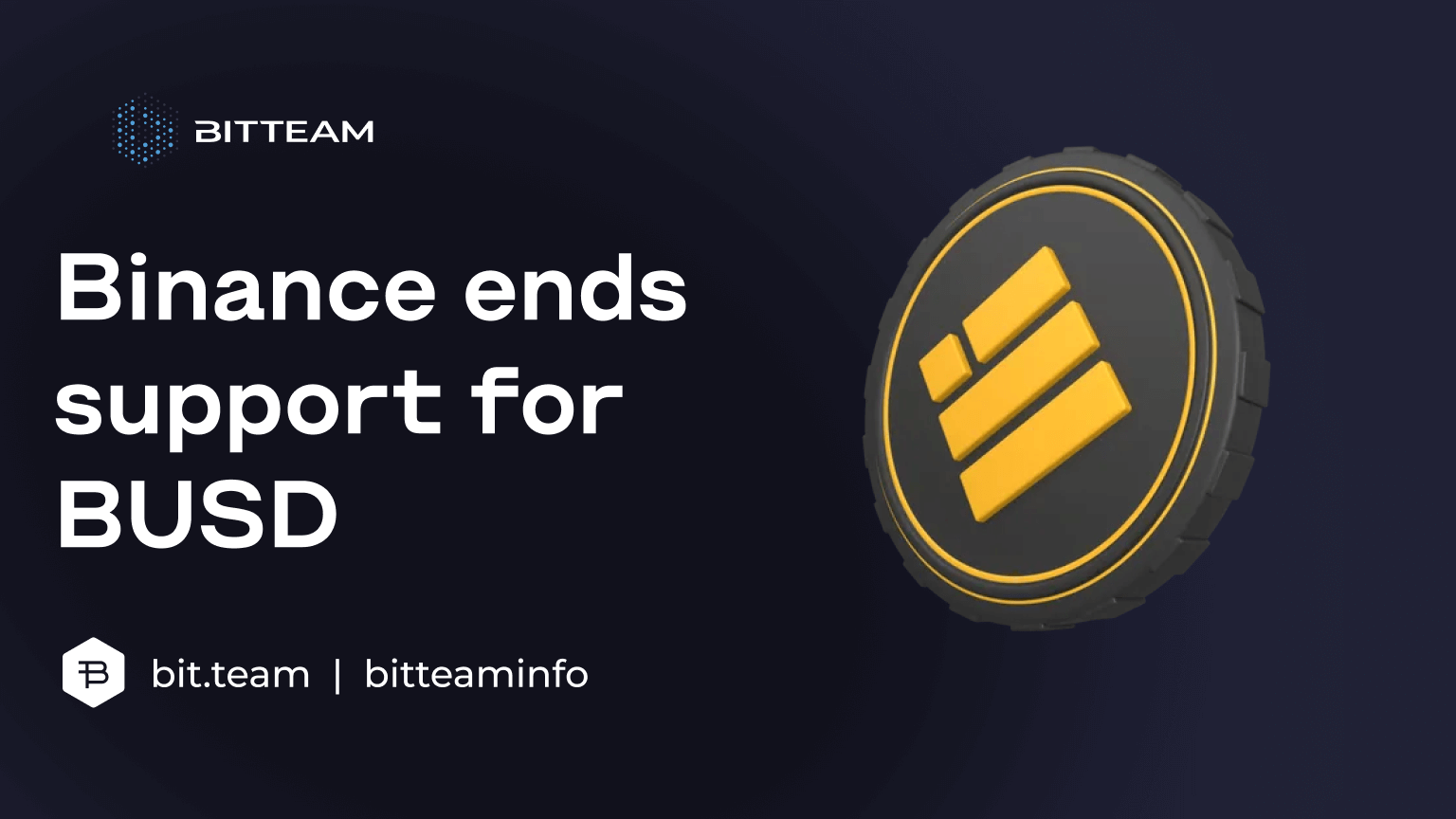 Switching off the trading pair with BUSD - Bit.Team